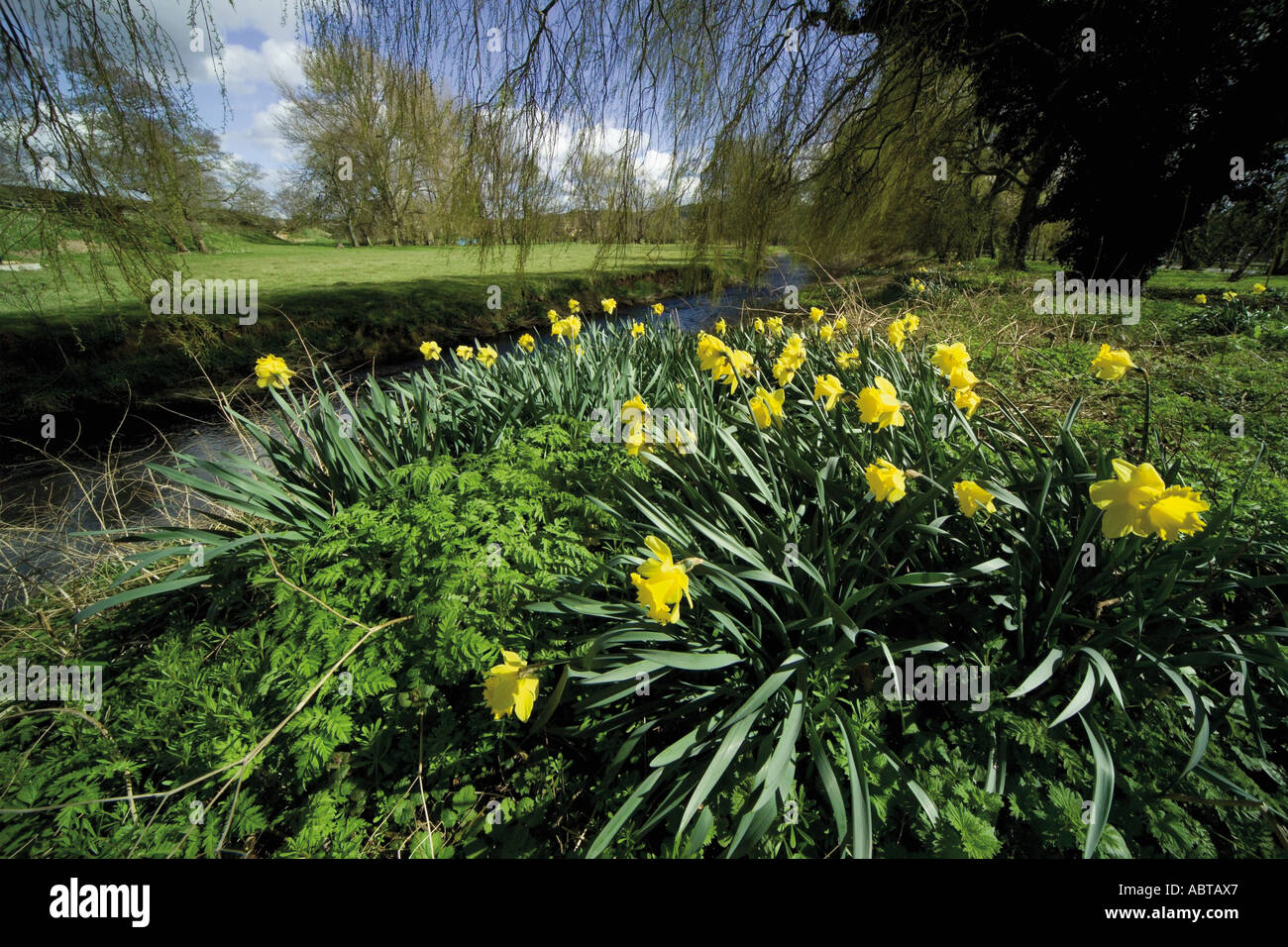 Great alne hi-res stock photography and images - Alamy