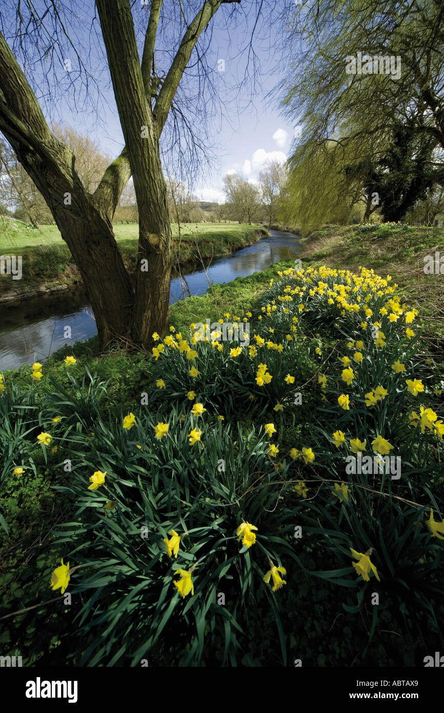 Great Alne High Resolution Stock Photography and Images - Alamy