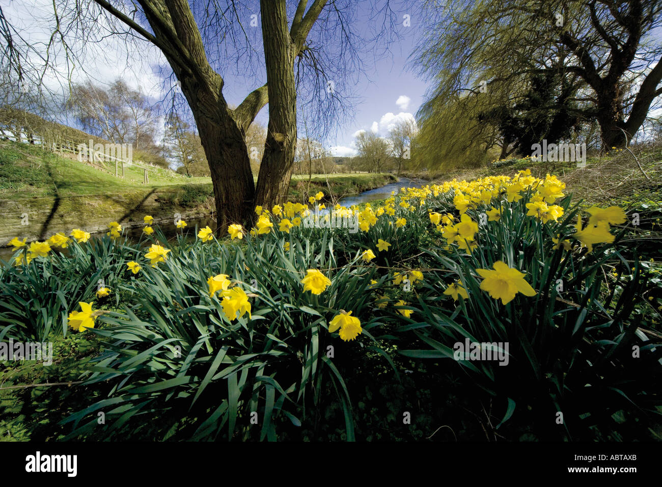 Great alne hi-res stock photography and images - Alamy