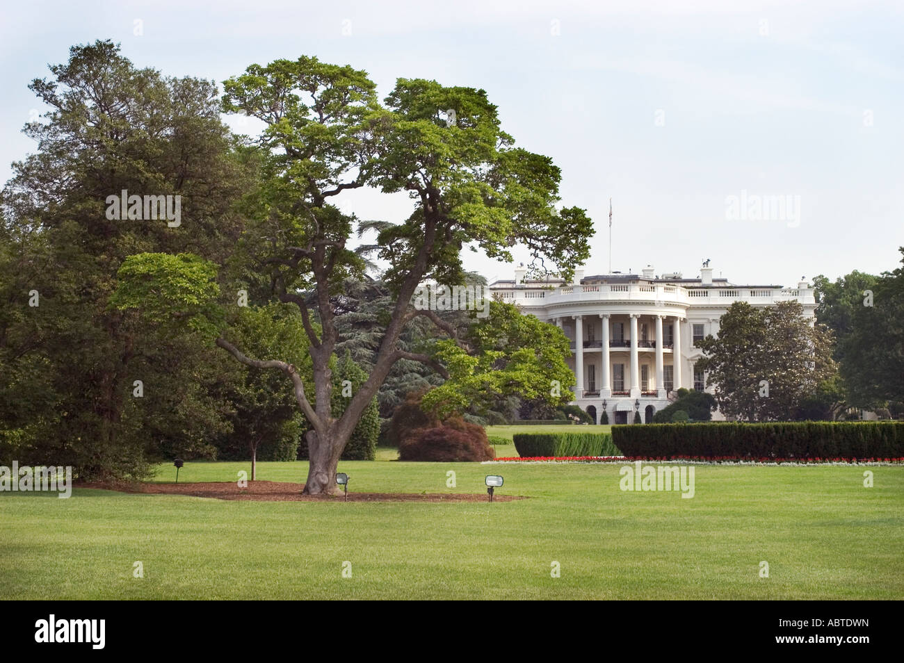 President tree white house hi-res stock photography and images - Alamy