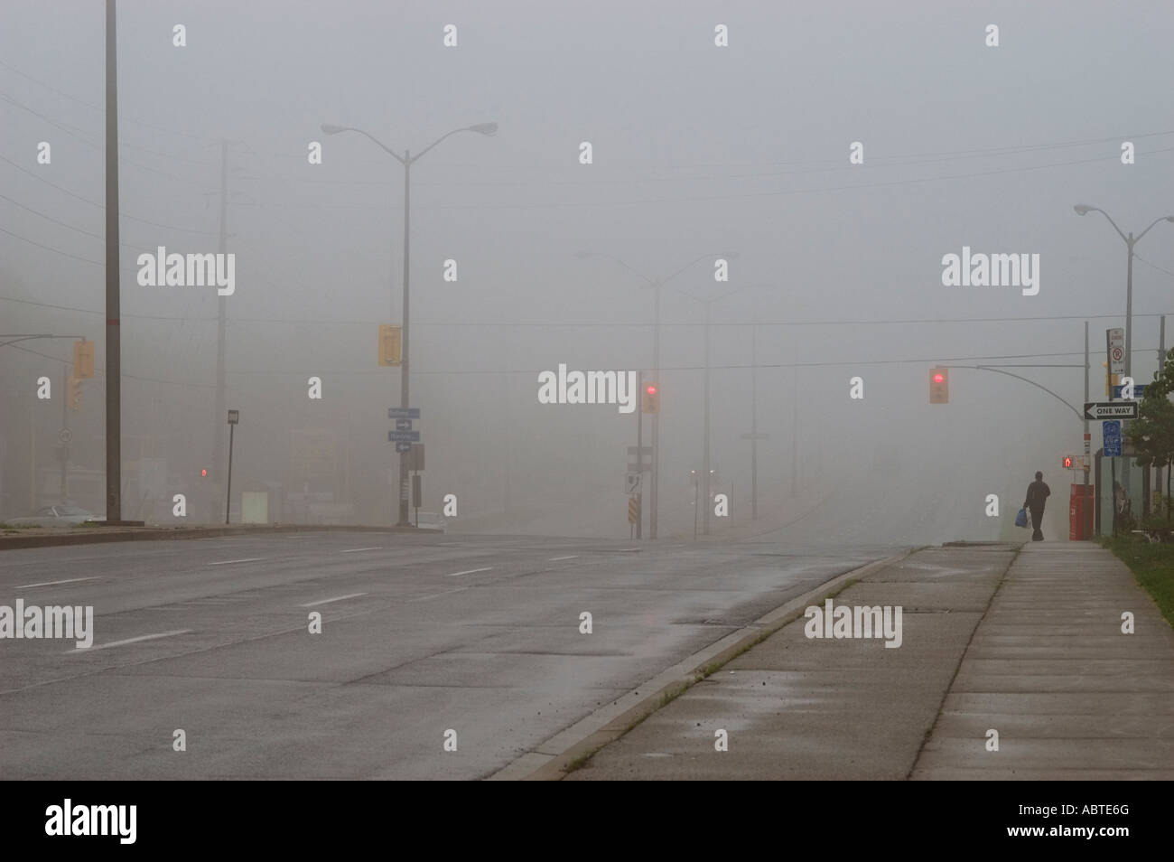 Foggy street in Toronto Stock Photo - Alamy