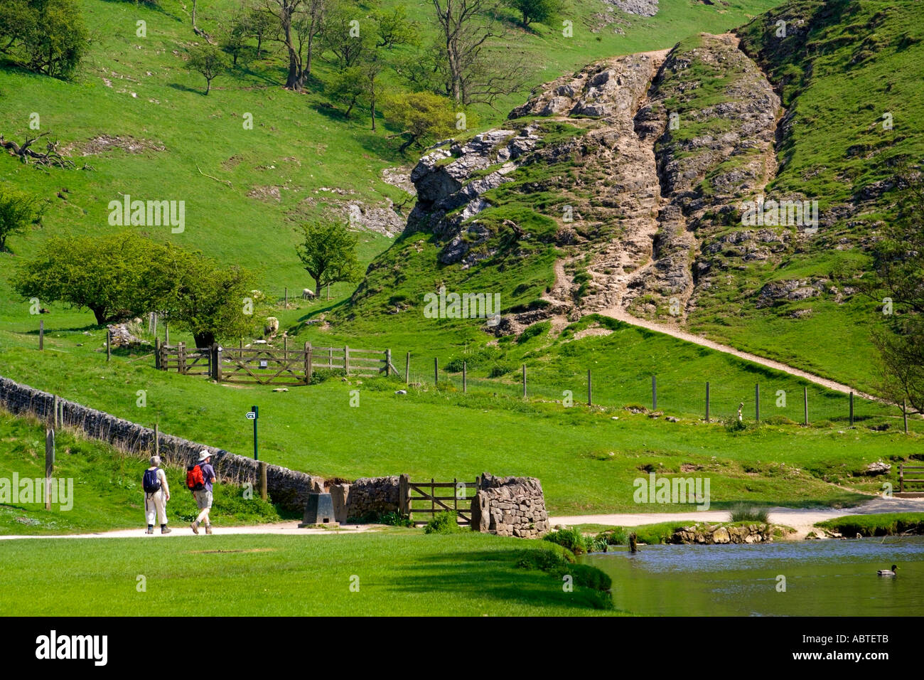 england derbyshire peak district national park valley of the river dove ...