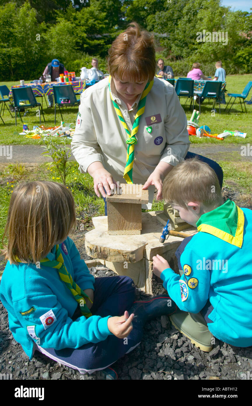 scouts and cubs being shown how to build bee boxes Stock Photo - Alamy