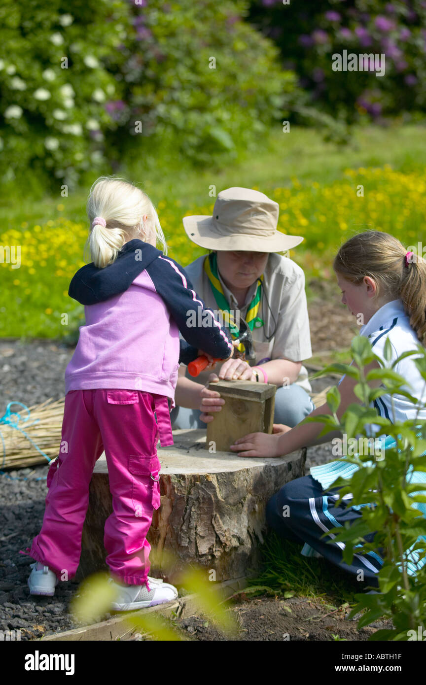 scouts and cubs being shown how to build bee boxes Stock Photo - Alamy