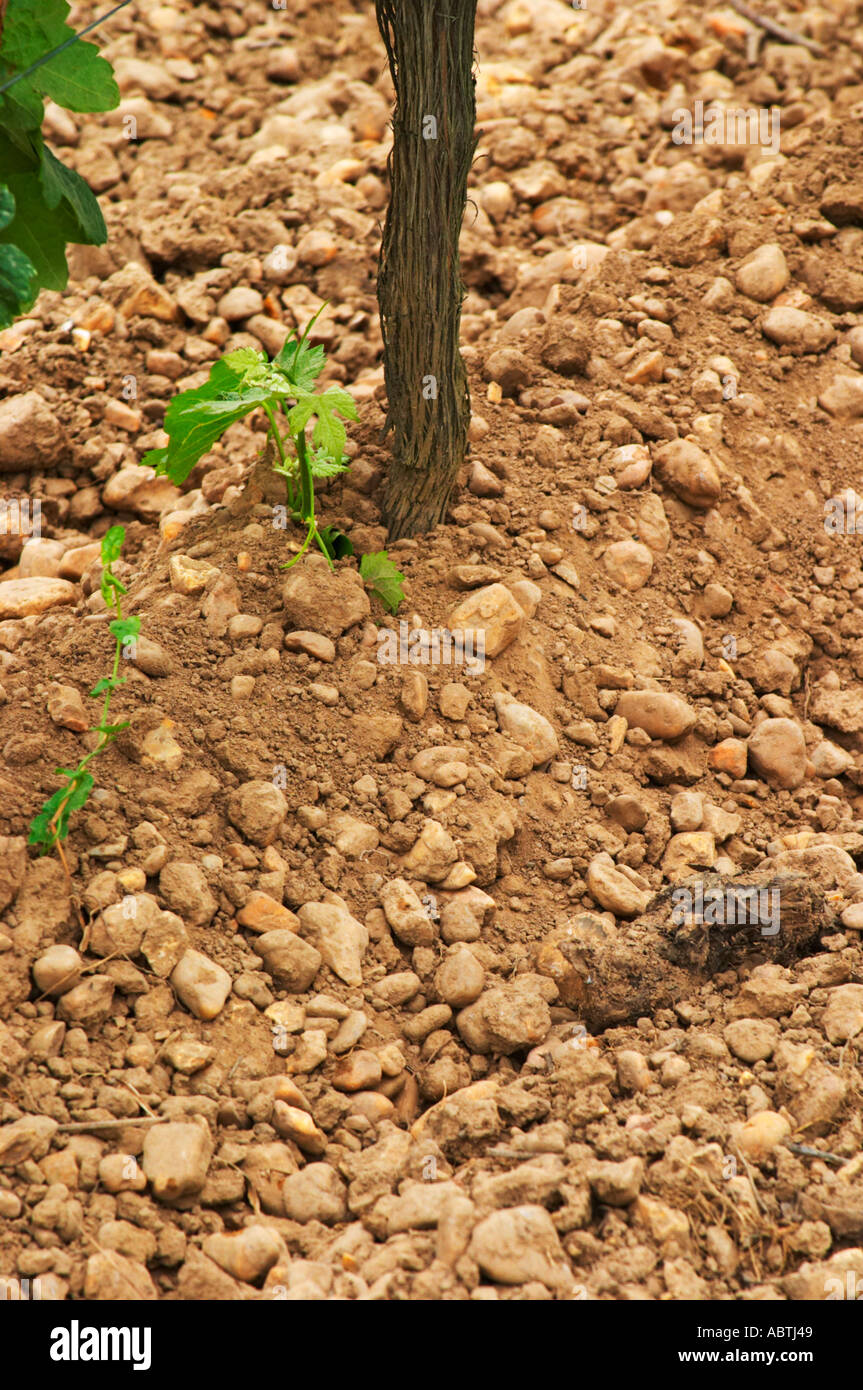 Pomerol soil hi-res stock photography and images - Alamy