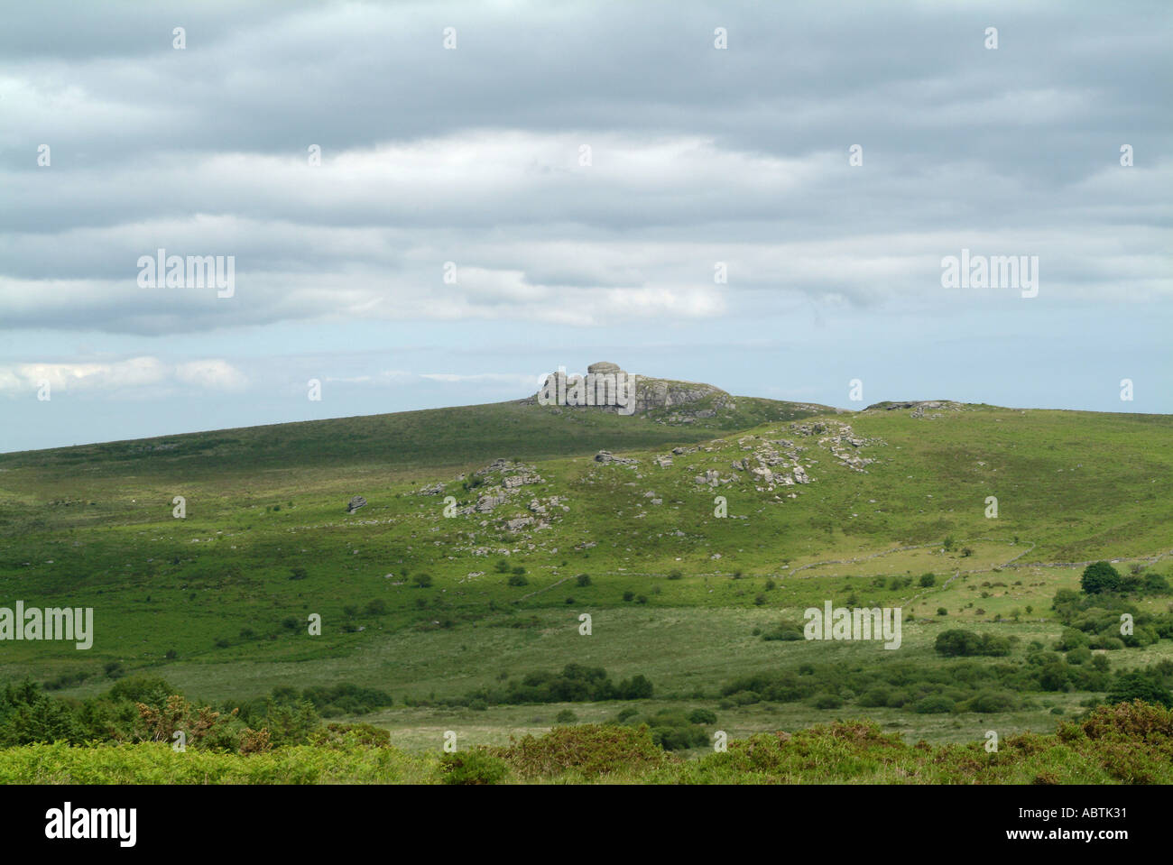 Haytor in Dartmoor National Park Devon england United Kingdom UK Stock ...
