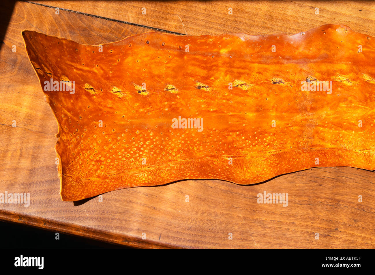 The skin of the sturgeon can be cured curried curry currying to make a ...