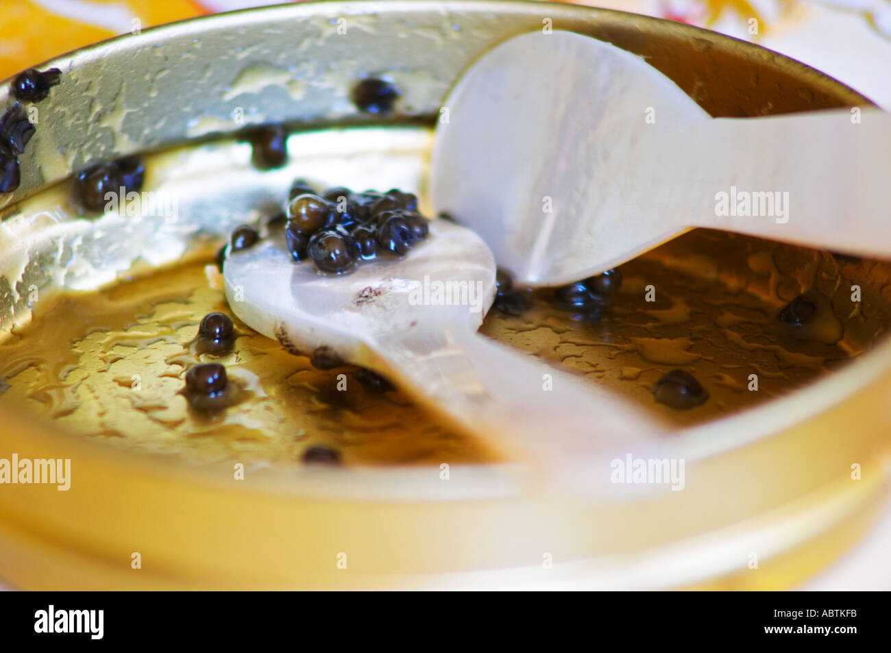 An empty tin of sturgeon caviar with two mother of pearl spoons and ...