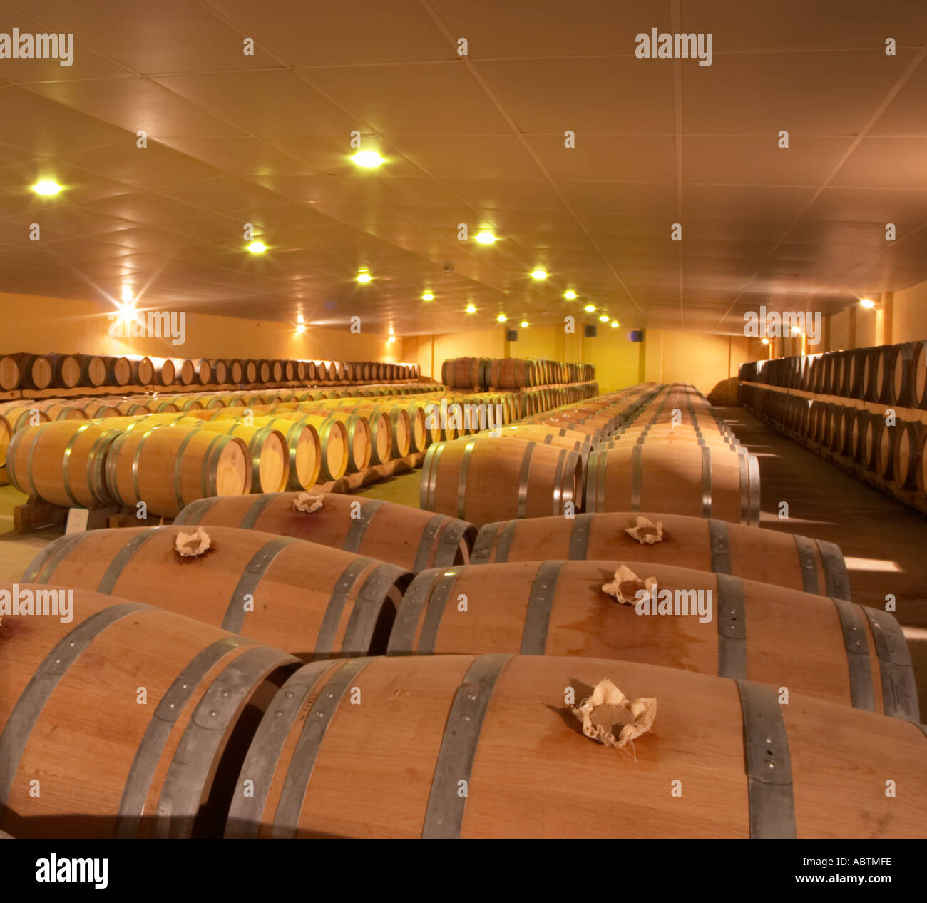 The new cellar for ageing wine in barrel, rows and rows of oak ...