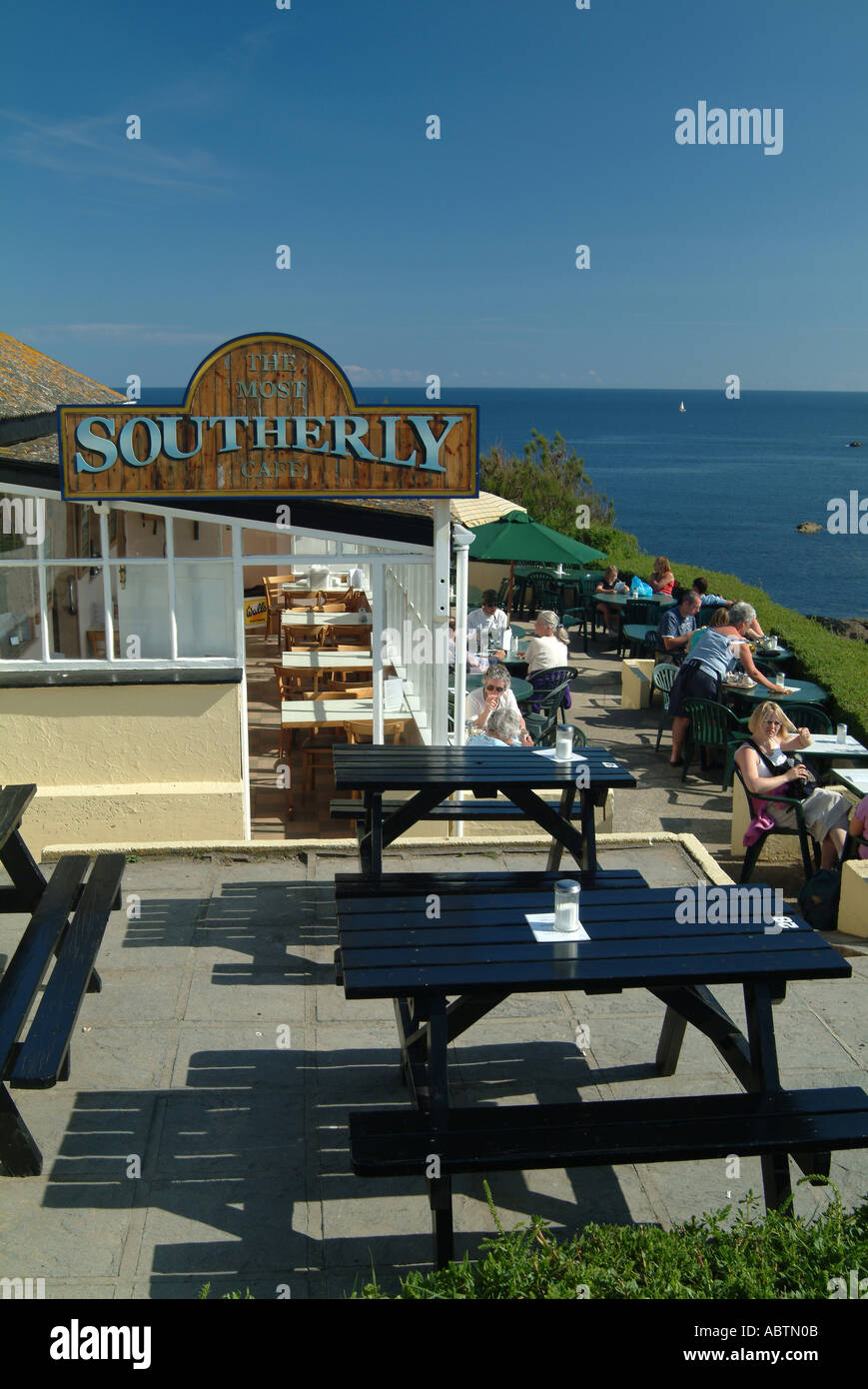 Tea lizard hi-res stock photography and images - Alamy