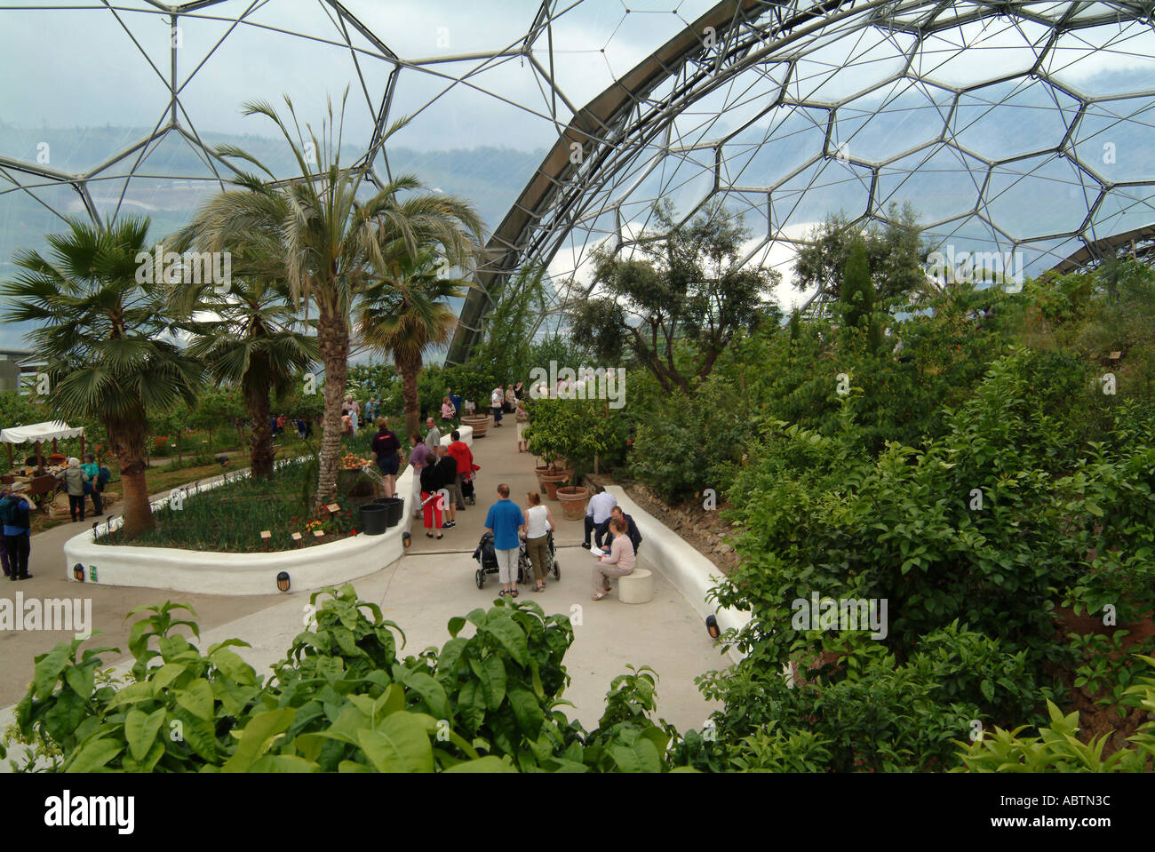 Interior of The Warm Temperate Biome at Eden Project Cornwall Stock ...