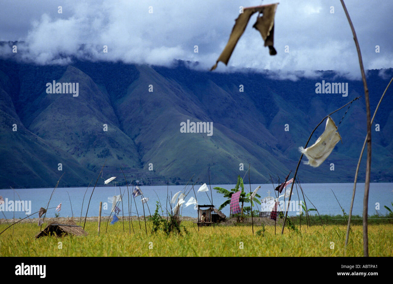 scarecrow bird scare Farmer Toba Batak (Toba,Karo,Simalungun,Pak Pak ...