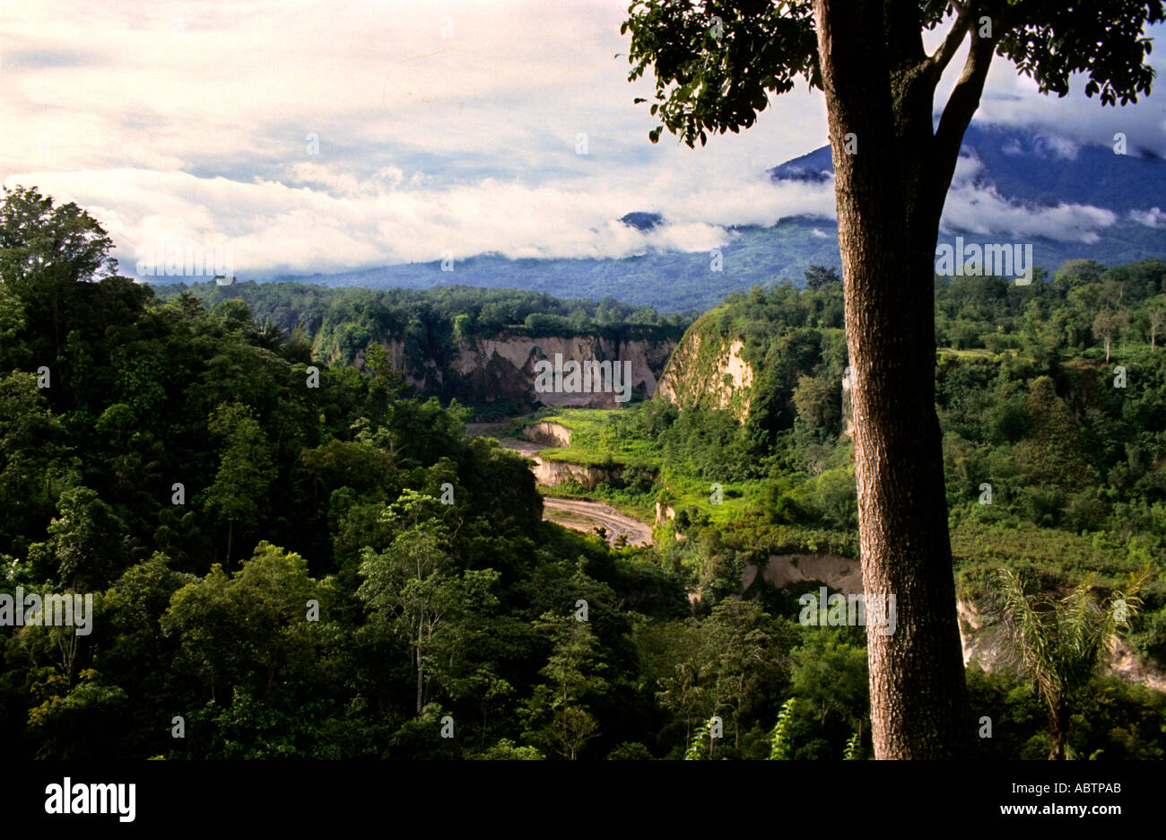 Sumatra Landscape Peatlands Biosphere Reserve Facing Severe