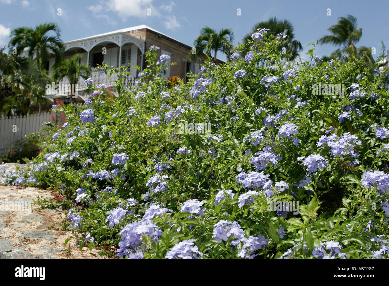 Virgin Islands,USVI,U.S.V.I.,Caribbean Sea,water,Atlantic Ocean,water ...