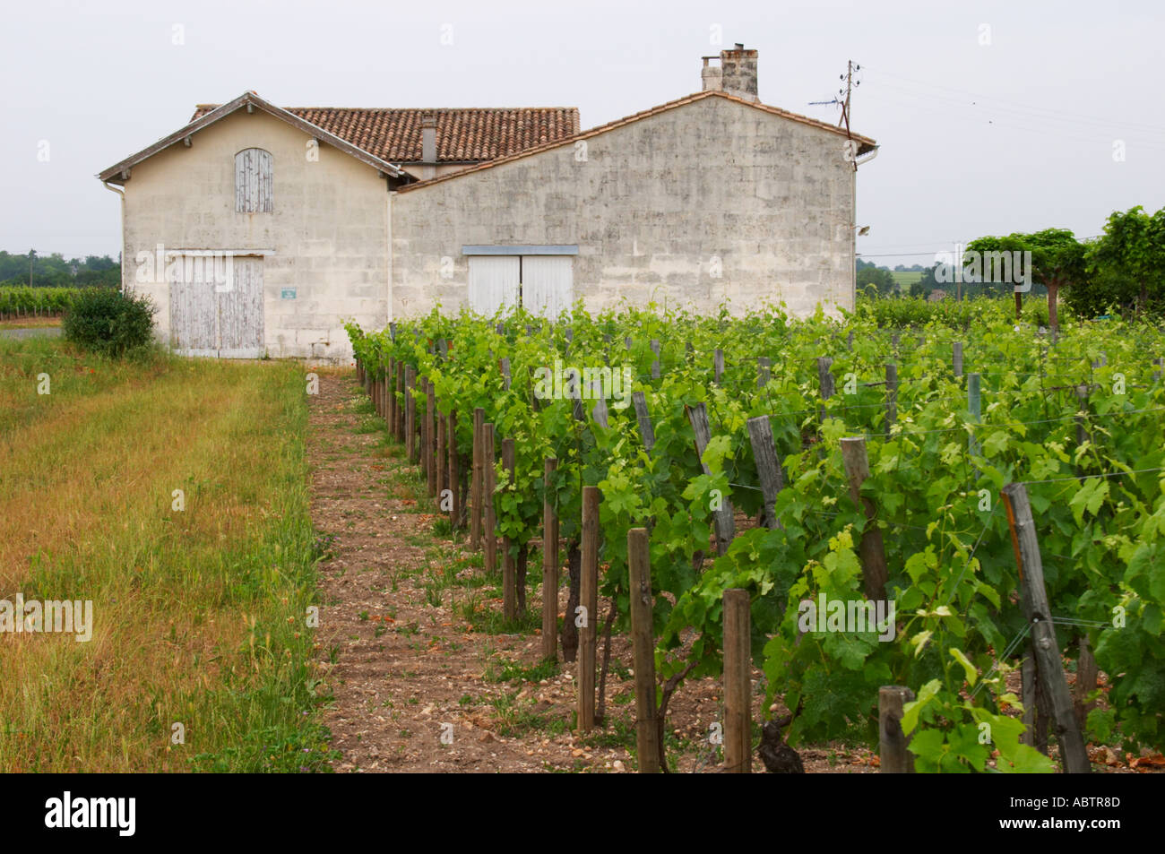 The rather unassuming modest Chateau Le Bon Pasteur and vineyard, owned ...