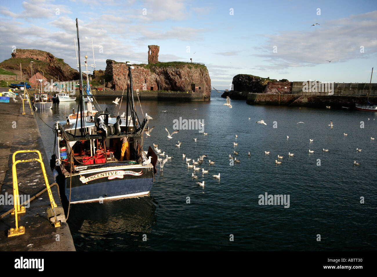 DUNBAR HARBOUR Scotland Stock Photo - Alamy
