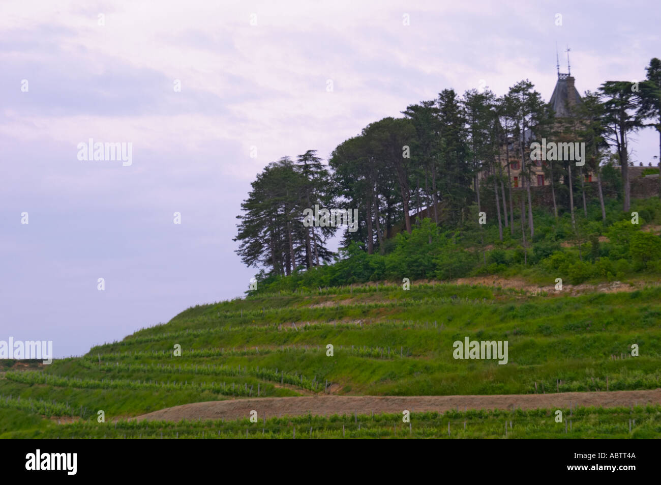 A view of the impressive medieval caste Chateau de Pressac on a hilltop ...