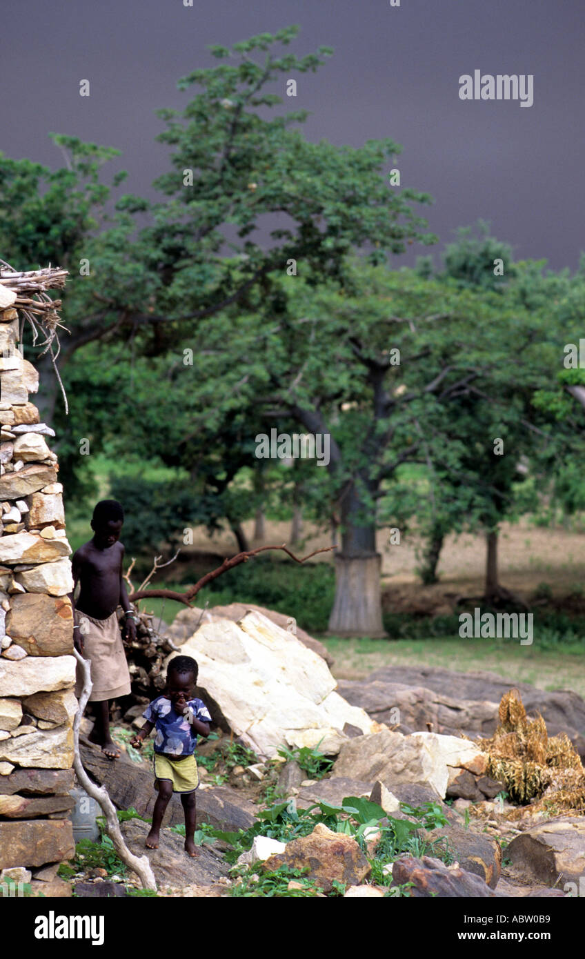 Baobab tree against rainclouds Dogon Region Mali Stock Photo - Alamy