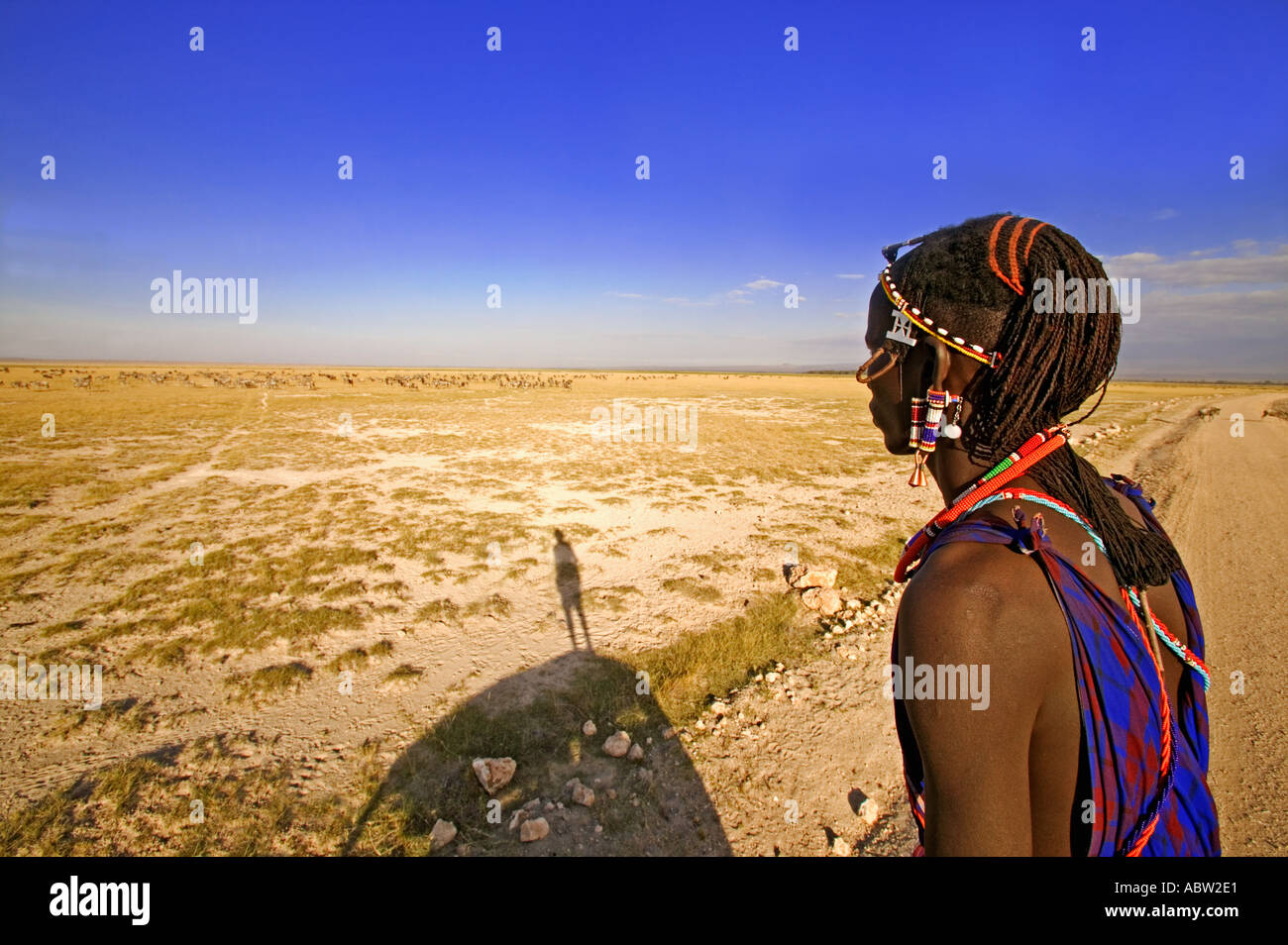 Maasai people Maasai guide looking for animals in the park Model ...