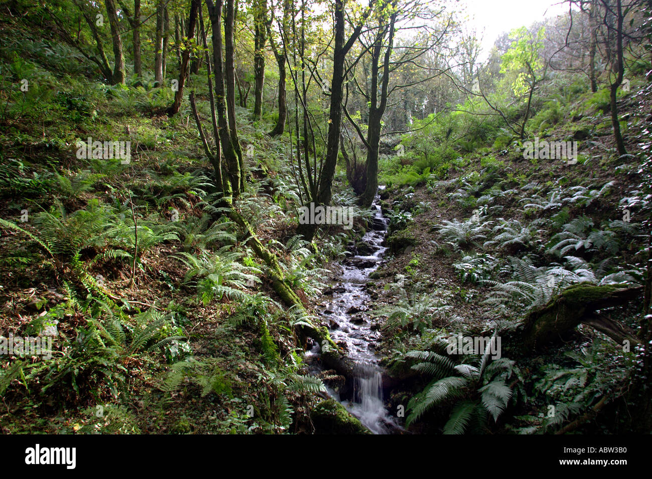 Stream running down rocks hi-res stock photography and images - Alamy