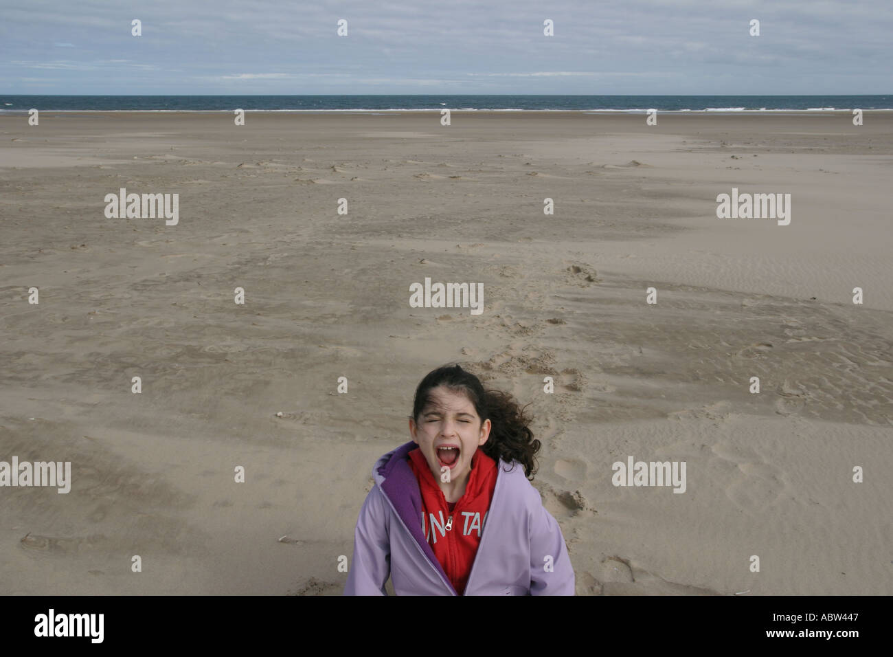 Clamorous hi-res stock photography and images - Alamy