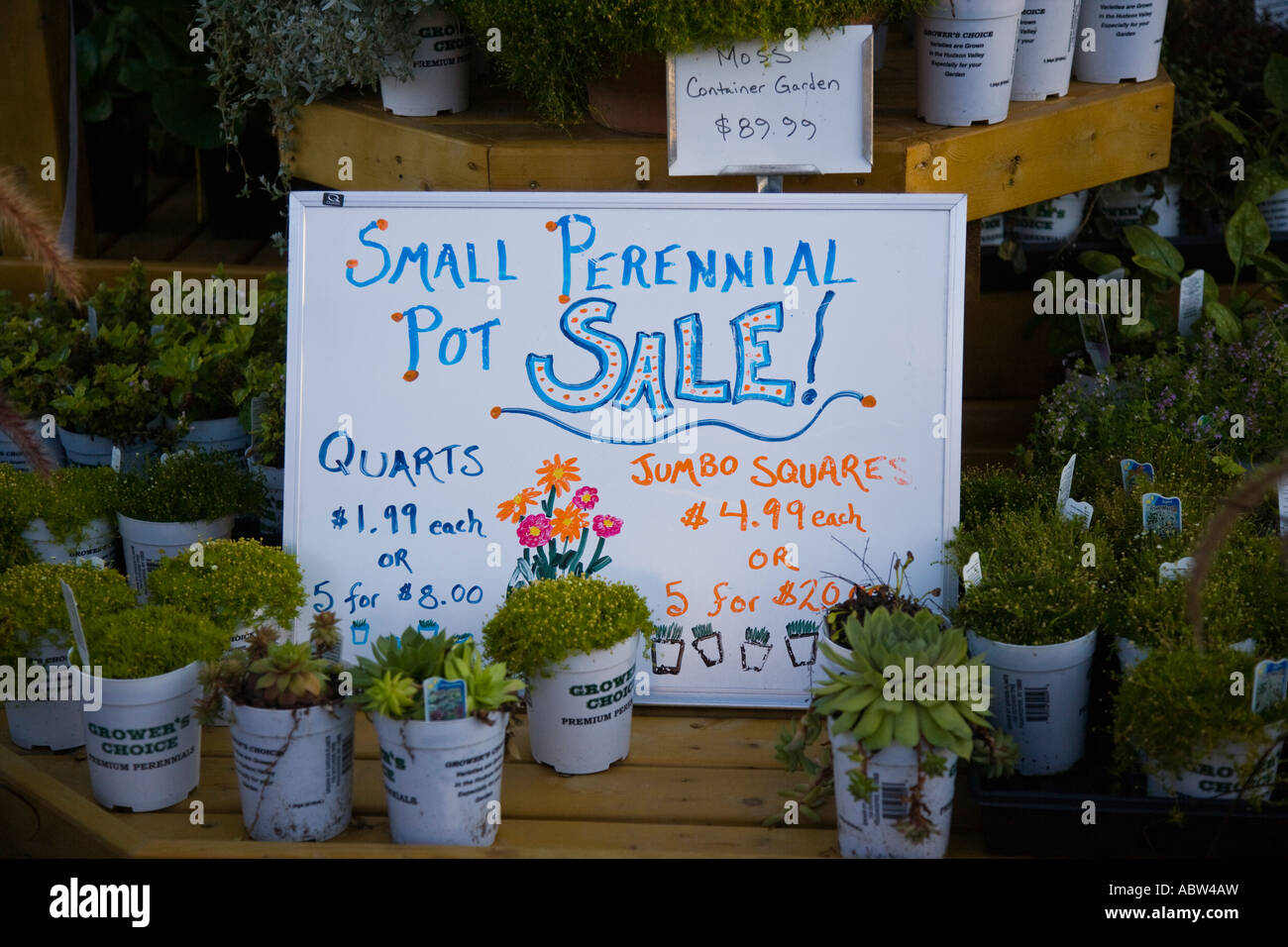 Plants for sale at a nursery Stock Photo - Alamy