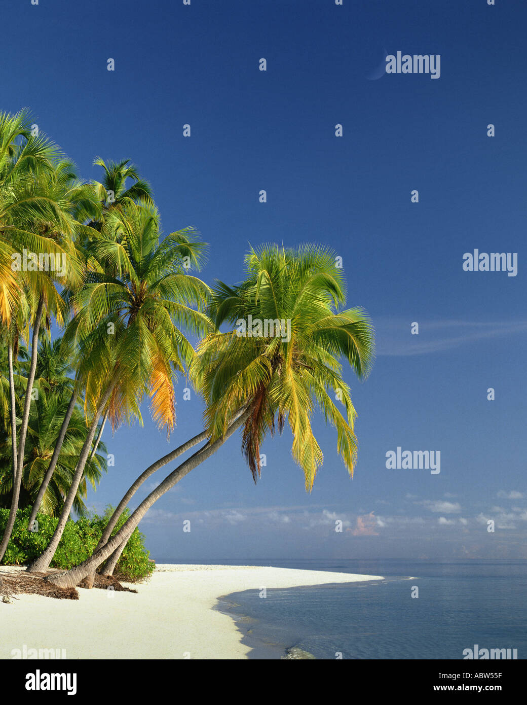 Maldives islands pacific ocean asia hi-res stock photography and images ...