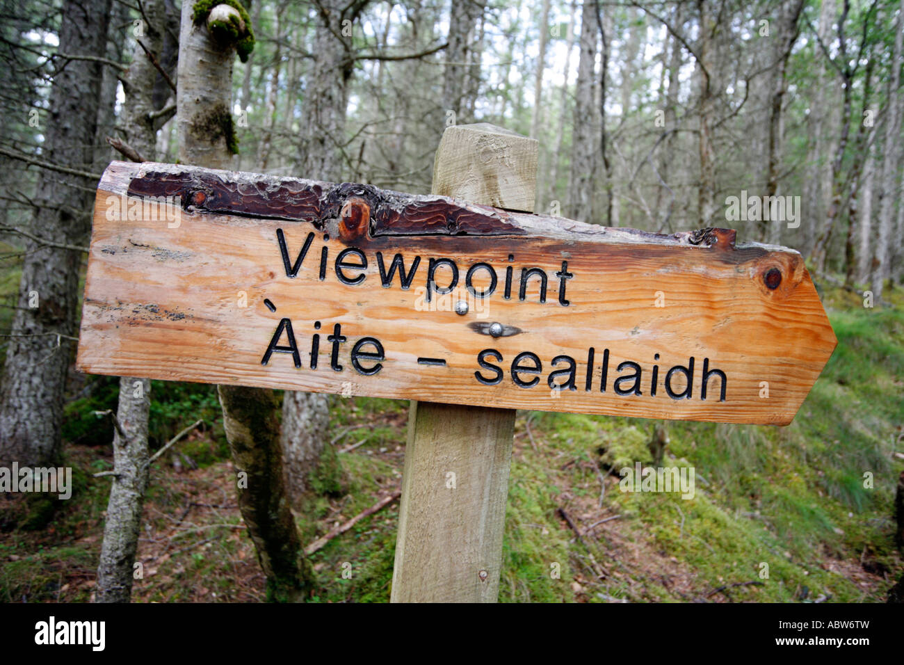 Direction Sign To Viewpoint In English And Gaelic Stock Photo Alamy direction-sign-to-viewpoint-in-english-and-gaelic-stock-photo-alamy