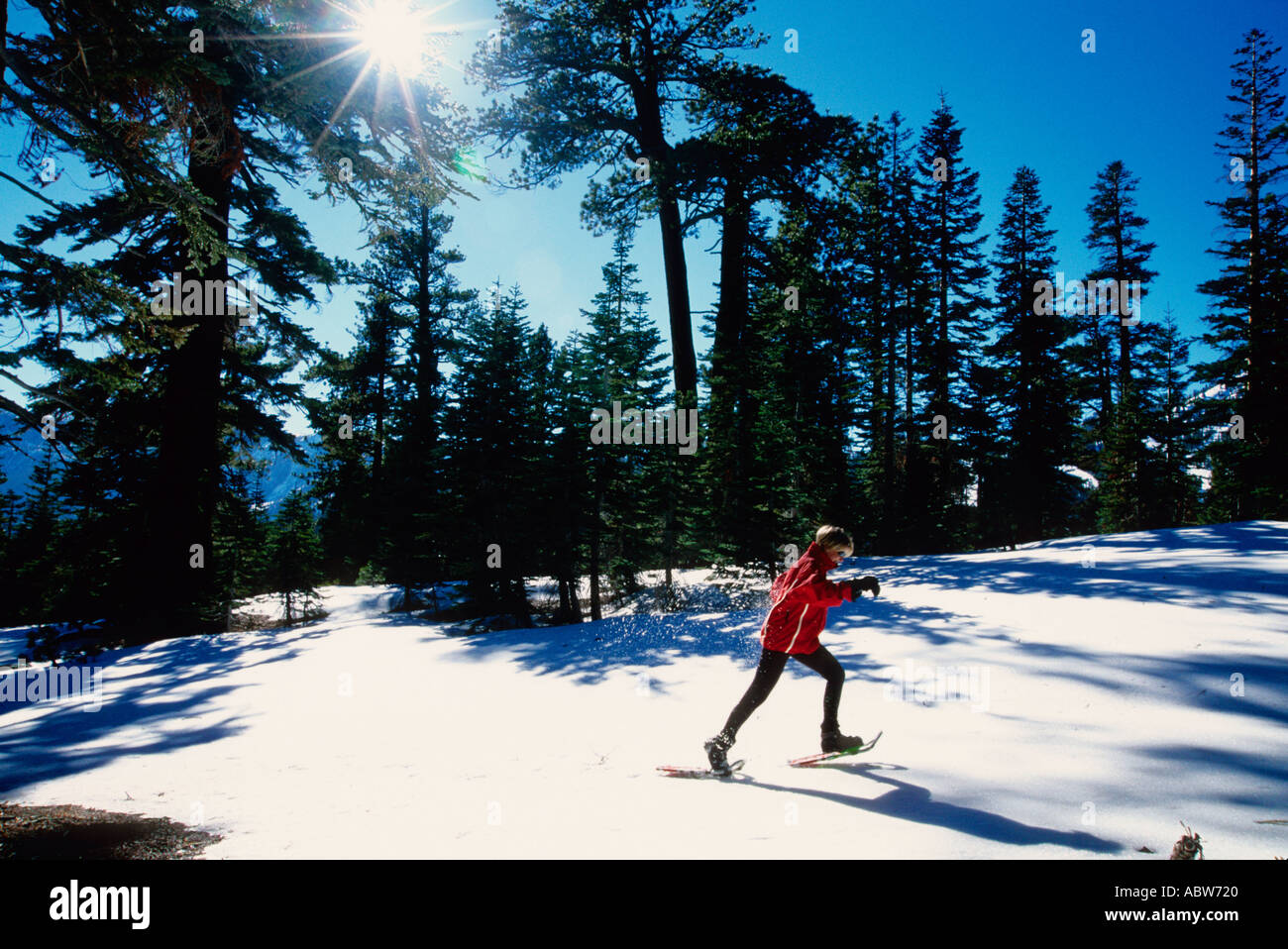 Snowshoeing mammoth lakes hi-res stock photography and images - Alamy