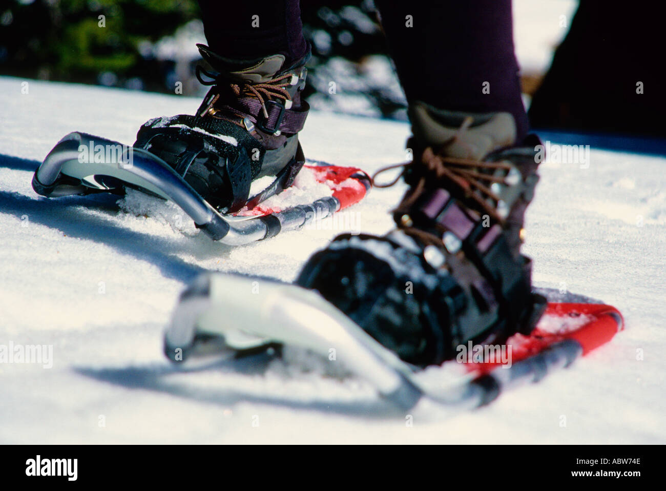 Snowshoeing mammoth lakes hi-res stock photography and images - Alamy