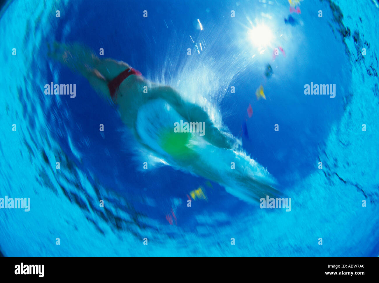 a swimmer diving in Stock Photo - Alamy