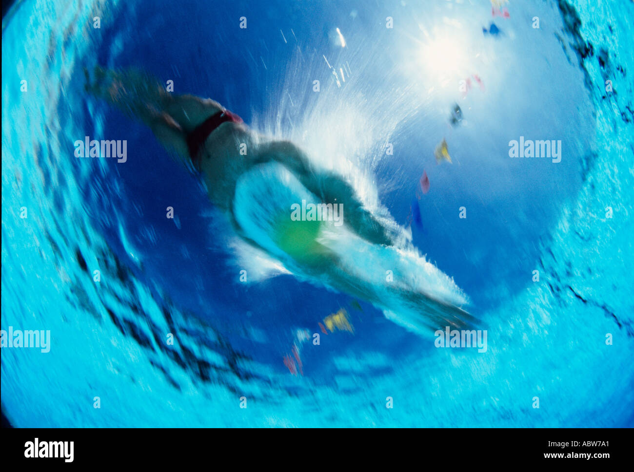 a swimmer diving in Stock Photo - Alamy