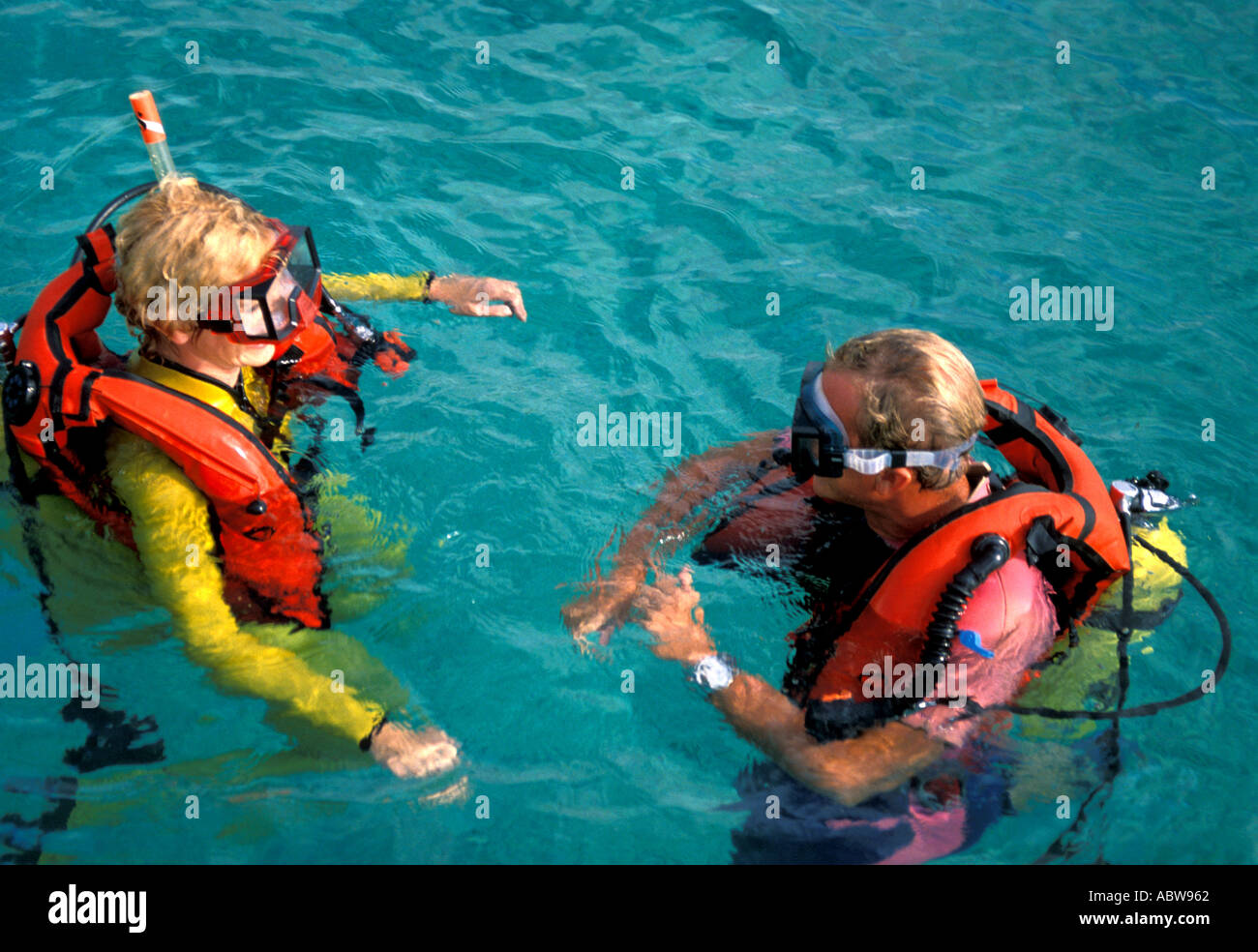 CARIBBEAN Divers Floating on the Surface Stock Photo - Alamy