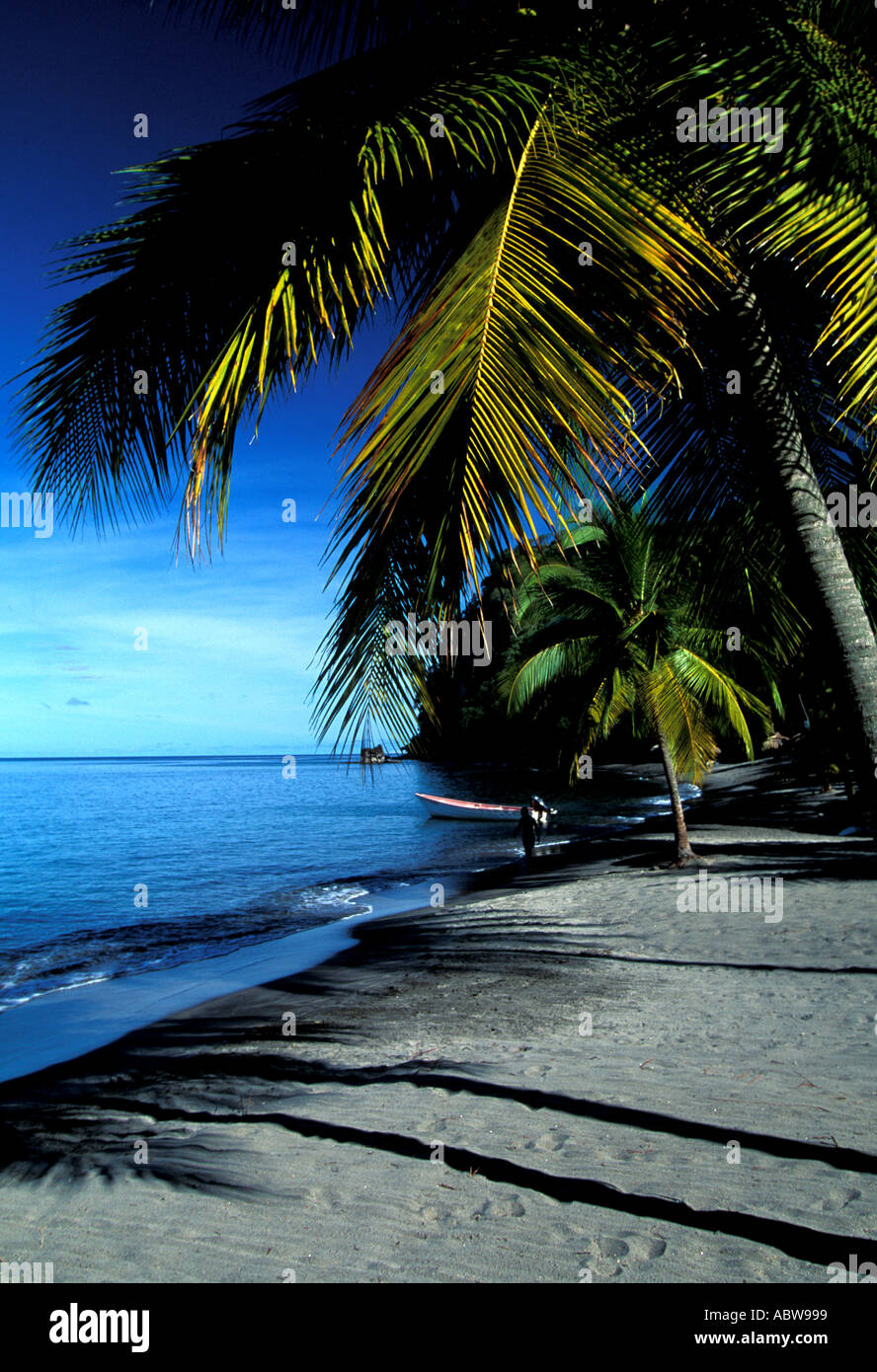 CARIBBEAN St Lucia Black Sand Beach Saint Lucia Fishing Boat and Palm ...