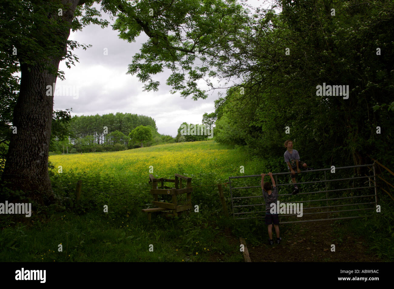 Two boys playing in the countryside, Dorset, UK Stock Photo - Alamy