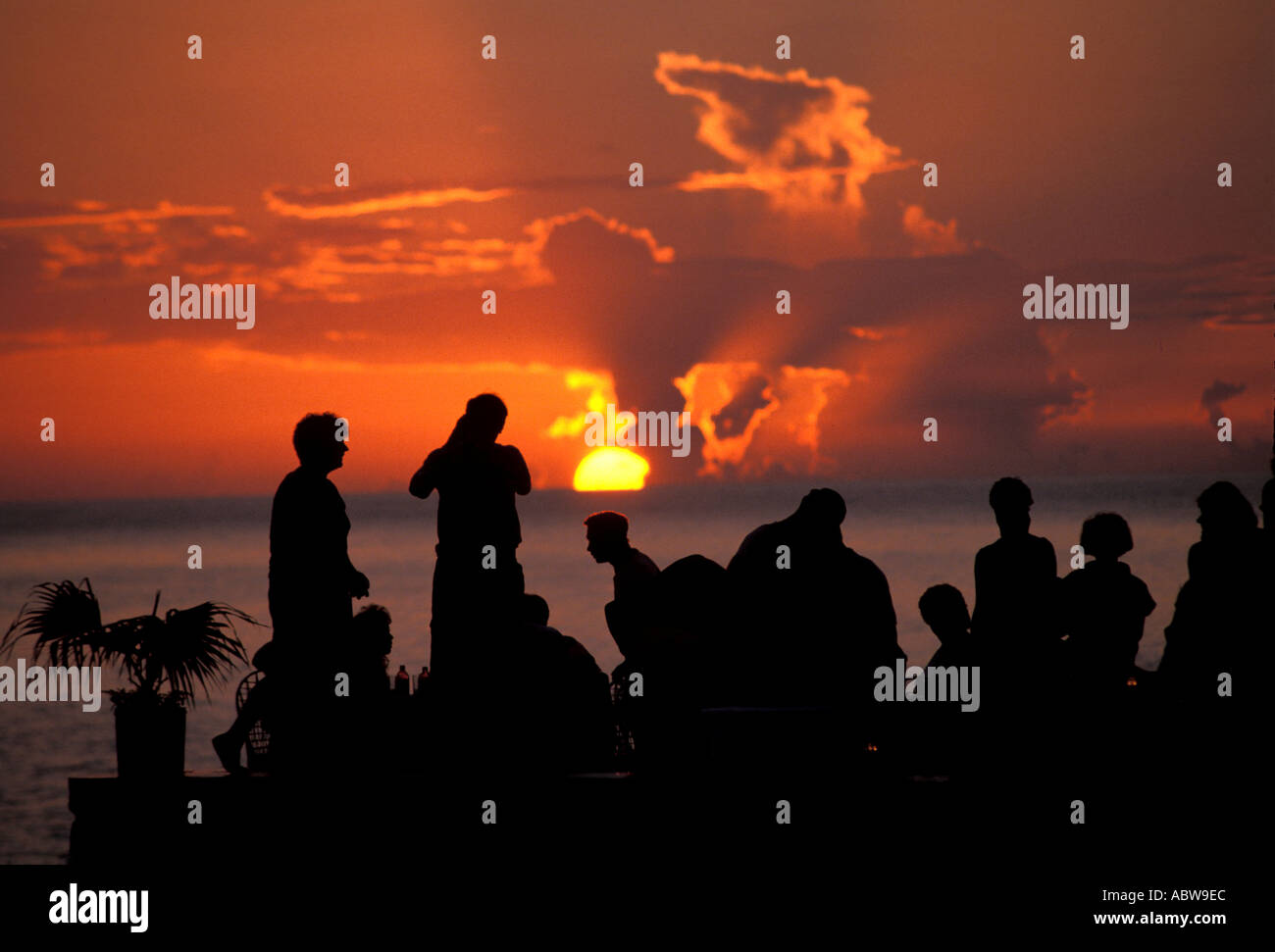 Ricks cafe jamaica hi-res stock photography and images - Alamy