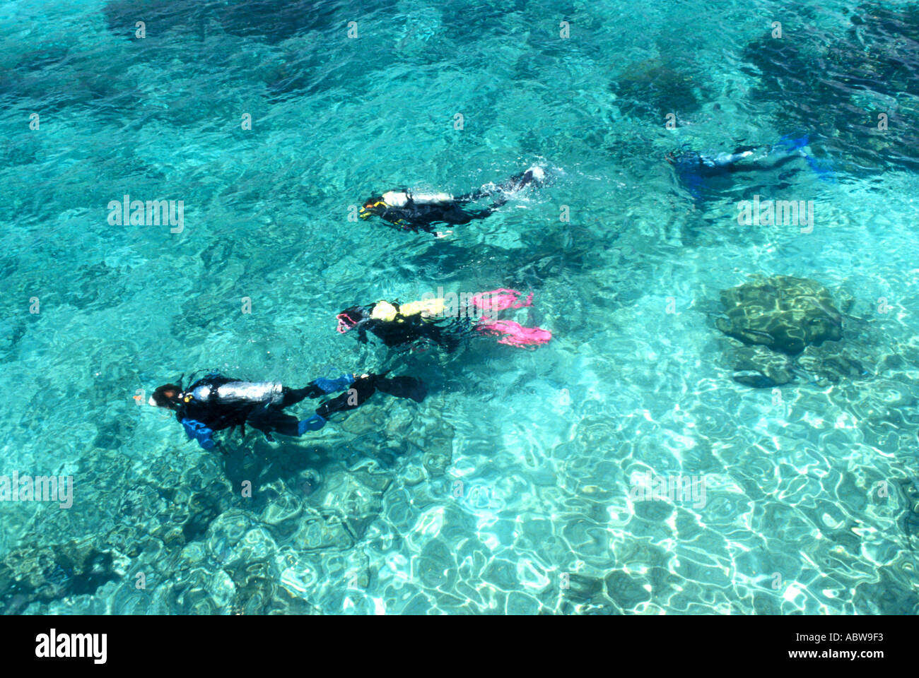 Tropics scuba divers swimming along surface over very clear shallow ...