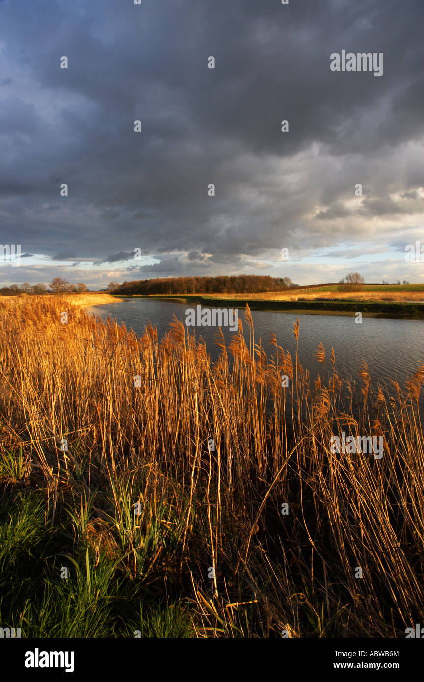 Landscape near How Hill on the Norfolk Broads Stock Photo - Alamy