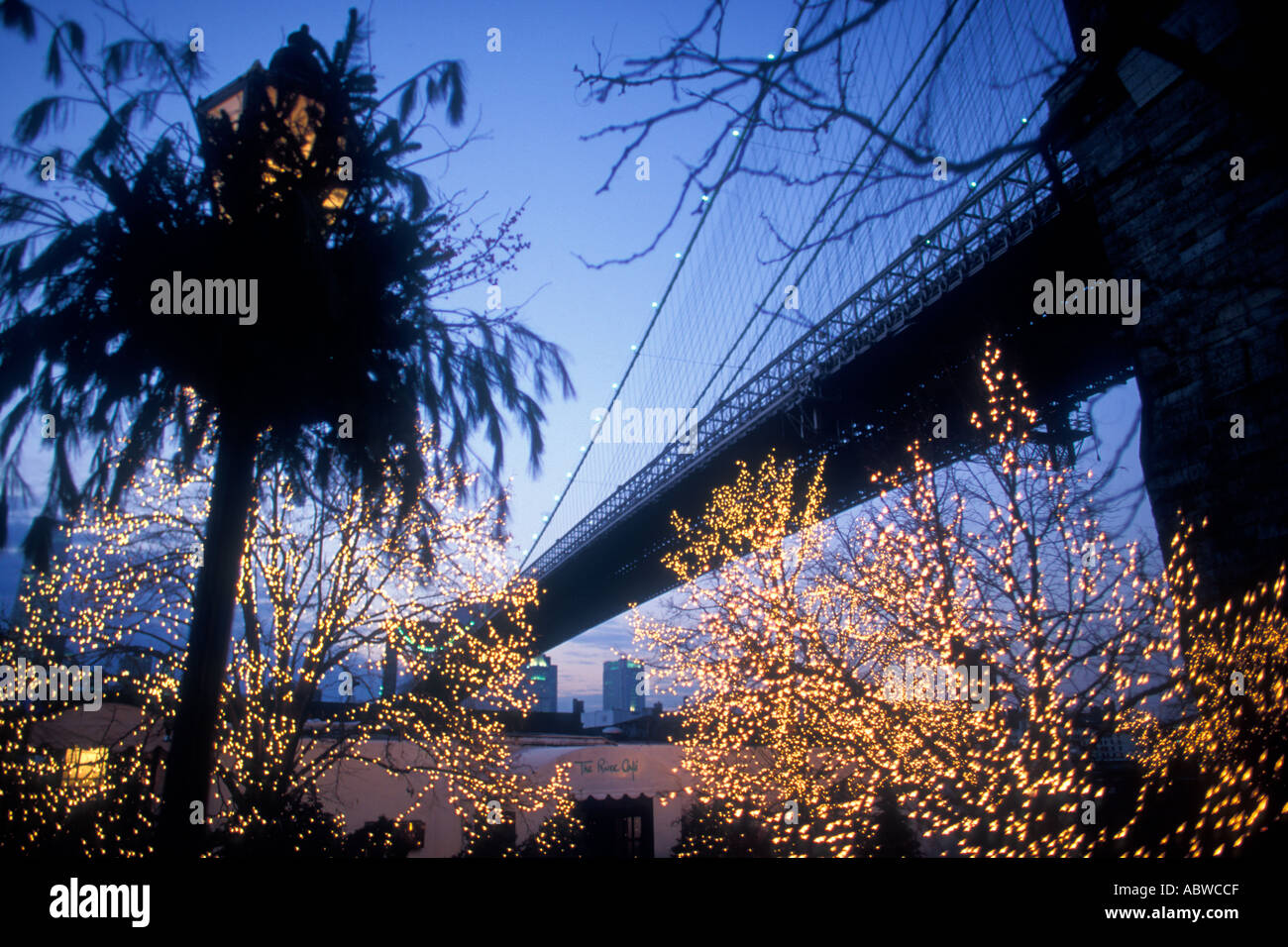 River Cafe under the Brooklyn Bridge in New York USA Stock Photo - Alamy