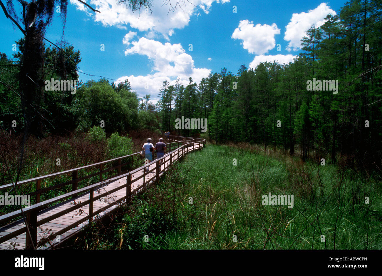 Corkscrew swamp sanctuary naples hi-res stock photography and images ...