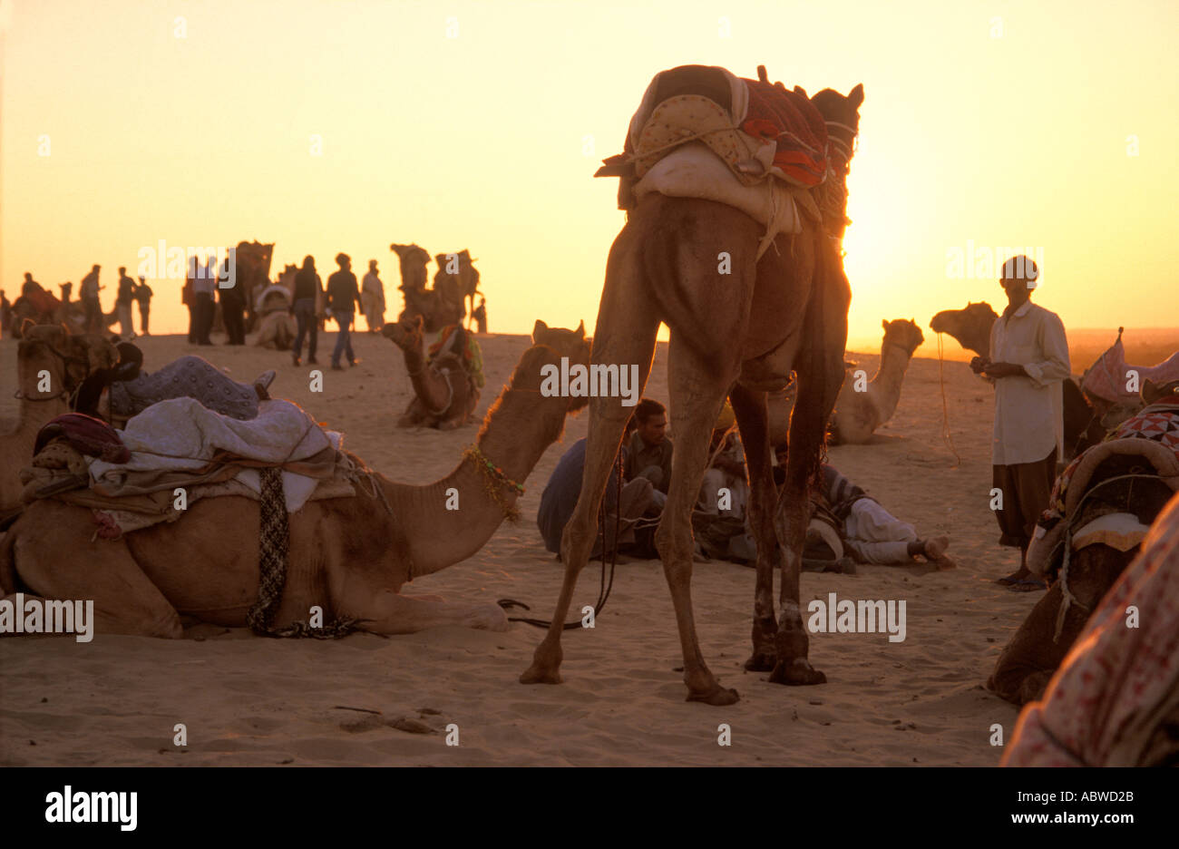 Crowd of tourists gathering for the sunset hi-res stock photography and ...