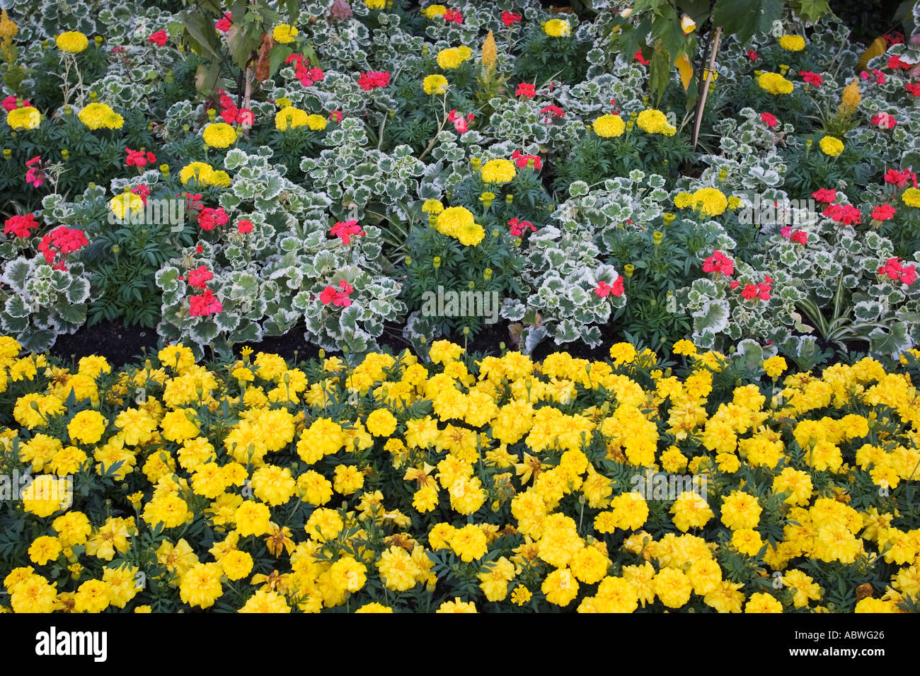 Regents Park flower border Stock Photo - Alamy