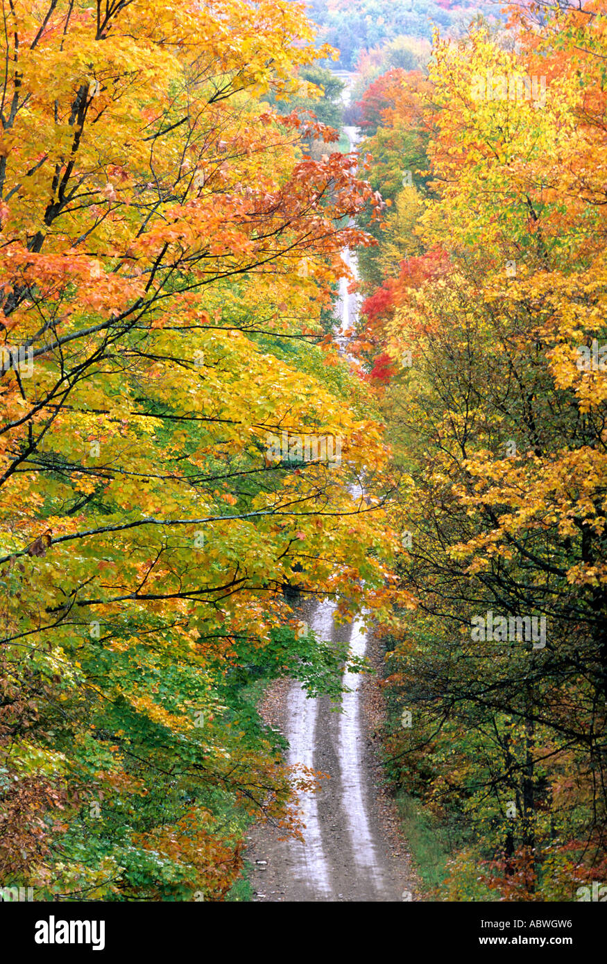 Country back road in autumn, Manitoulin Island, Ontario, Canada Stock ...