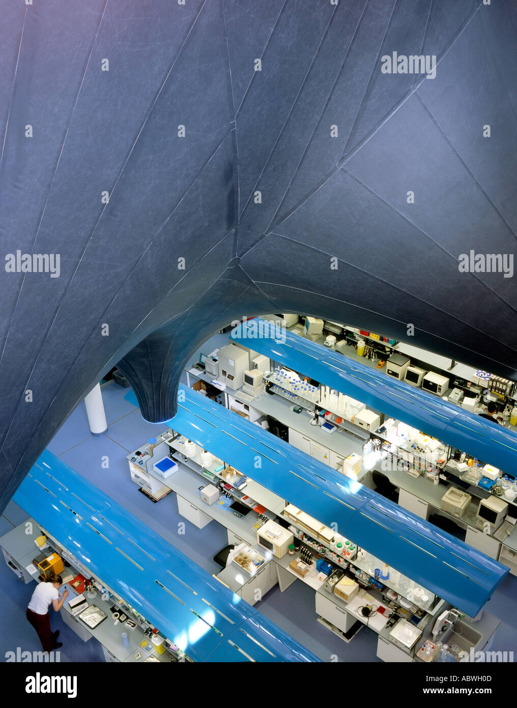 Spikey will hi-res stock photography and images - Alamy