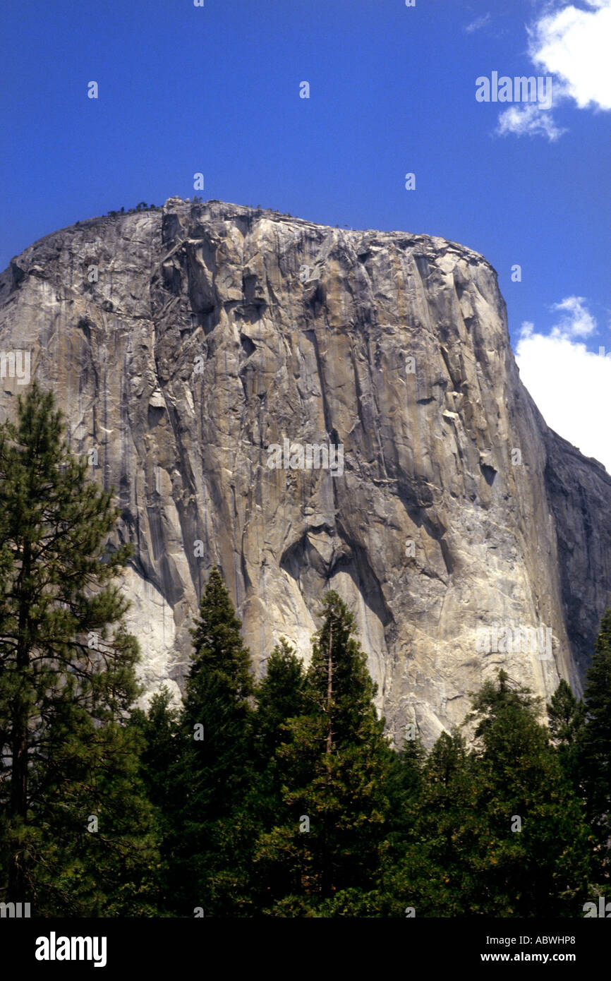 Famous rock of granite El Capitan in Yosemite National Park California ...