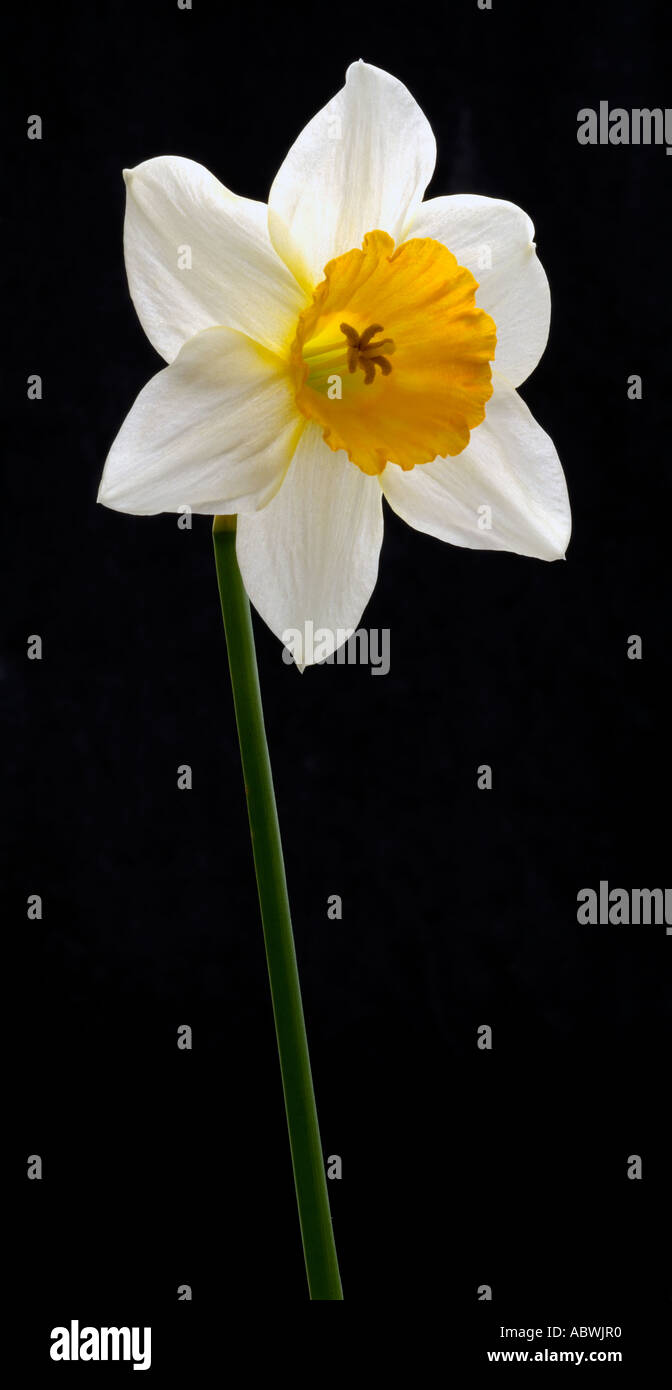 Spring season landscape Cut Out Stock Images & Pictures - Alamy