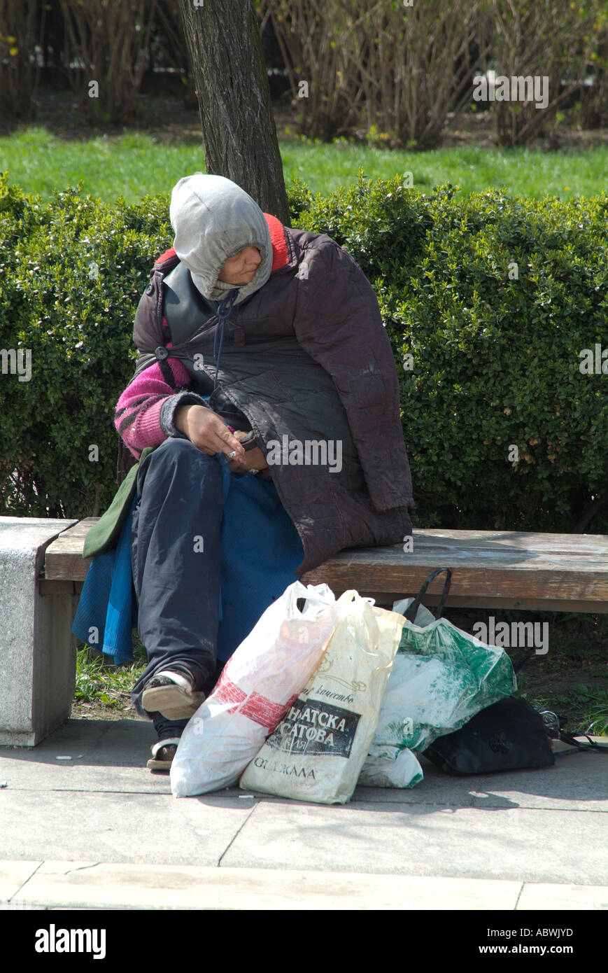 Lady and the tramp hi-res stock photography and images - Alamy