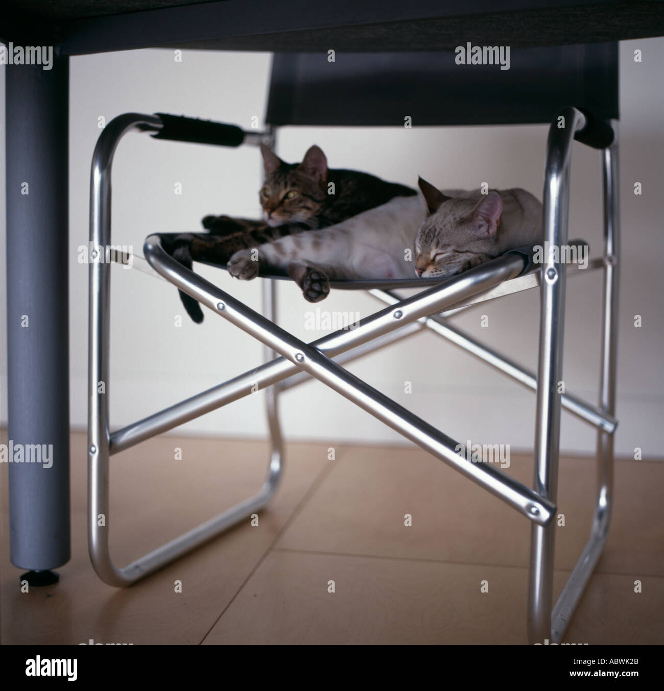 Factory folding chairs hi-res stock photography and images - Alamy