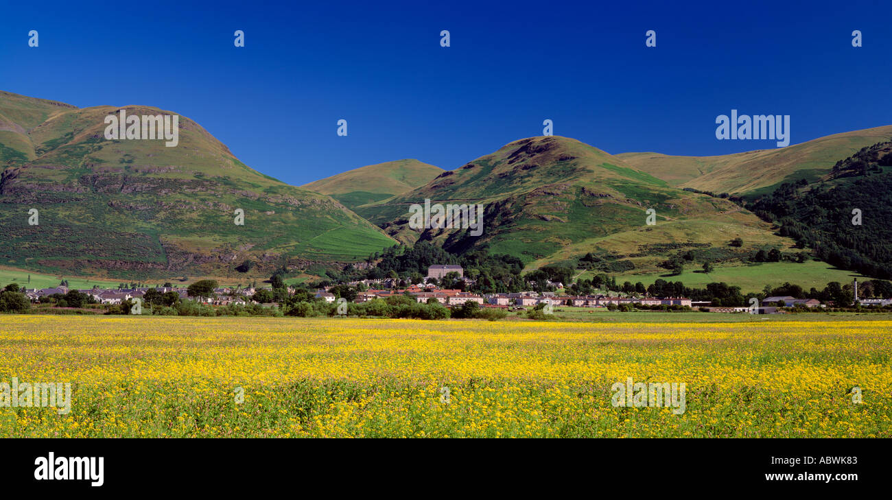 Alva and the Ochils, Clackmannanshire, Scotland, UK Stock Photo - Alamy