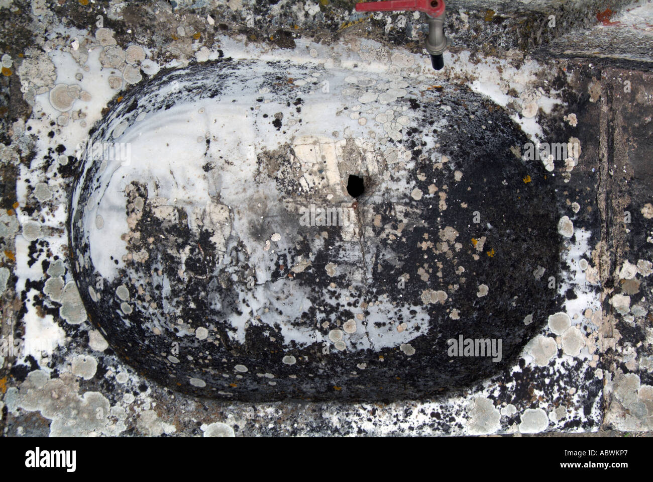 Discarded abandoned textured weatherd litchen moss stain stained eroded ...